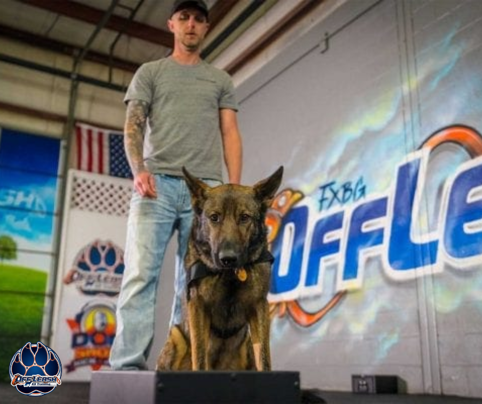 Off Leash K9 Training Fredericksburg Recognized As The Best Dog ...